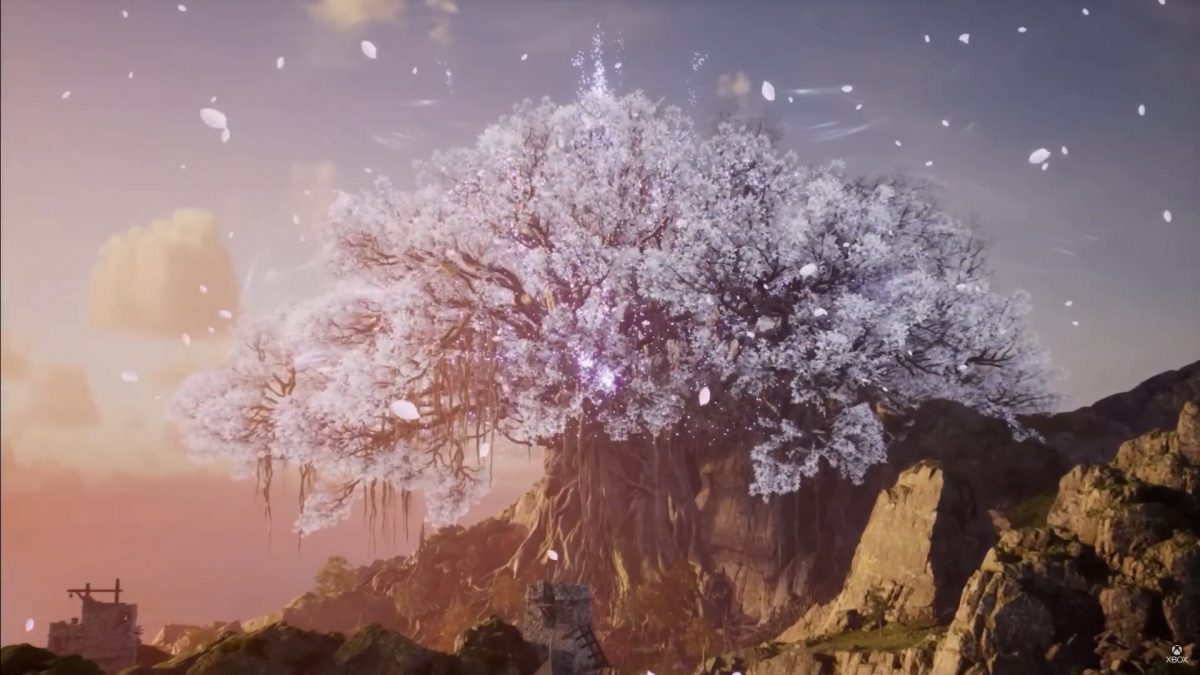 Throne and Liberty Amitoi Guide - StudioLoot